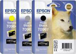 Epson R2880 - Epson Ink Cartridges